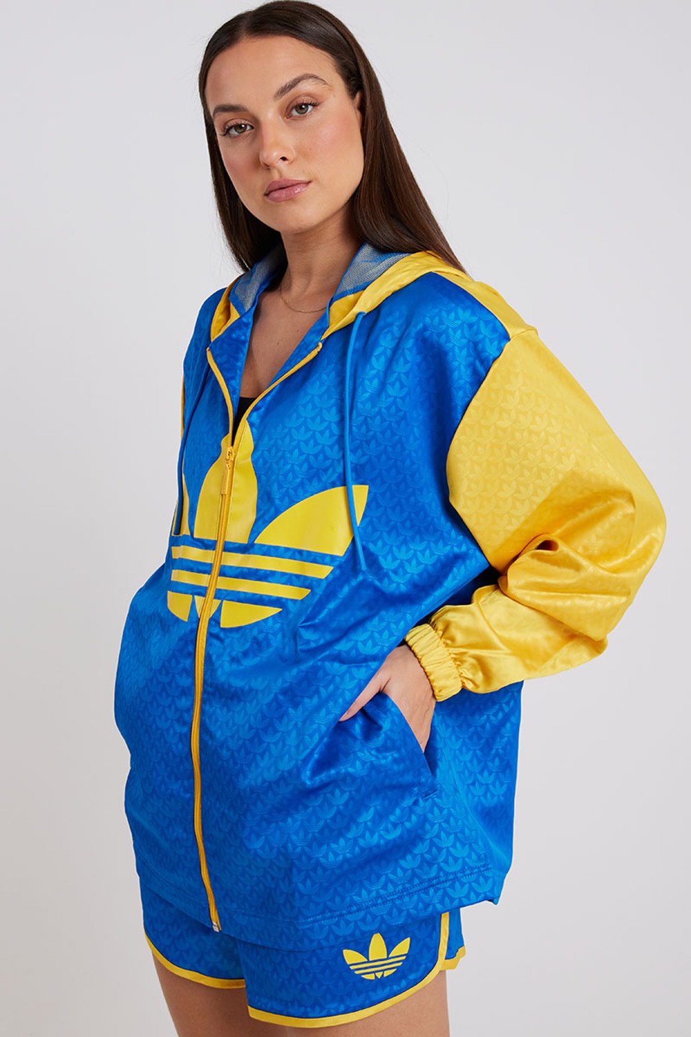 adidas Originals Adicolor Heritage Now Colorblock Windbreaker Bluebir ...