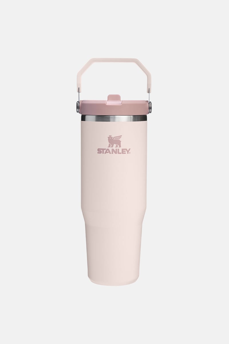 Stanley Cups | Insulated Tumbler & Cup | Stylerunner